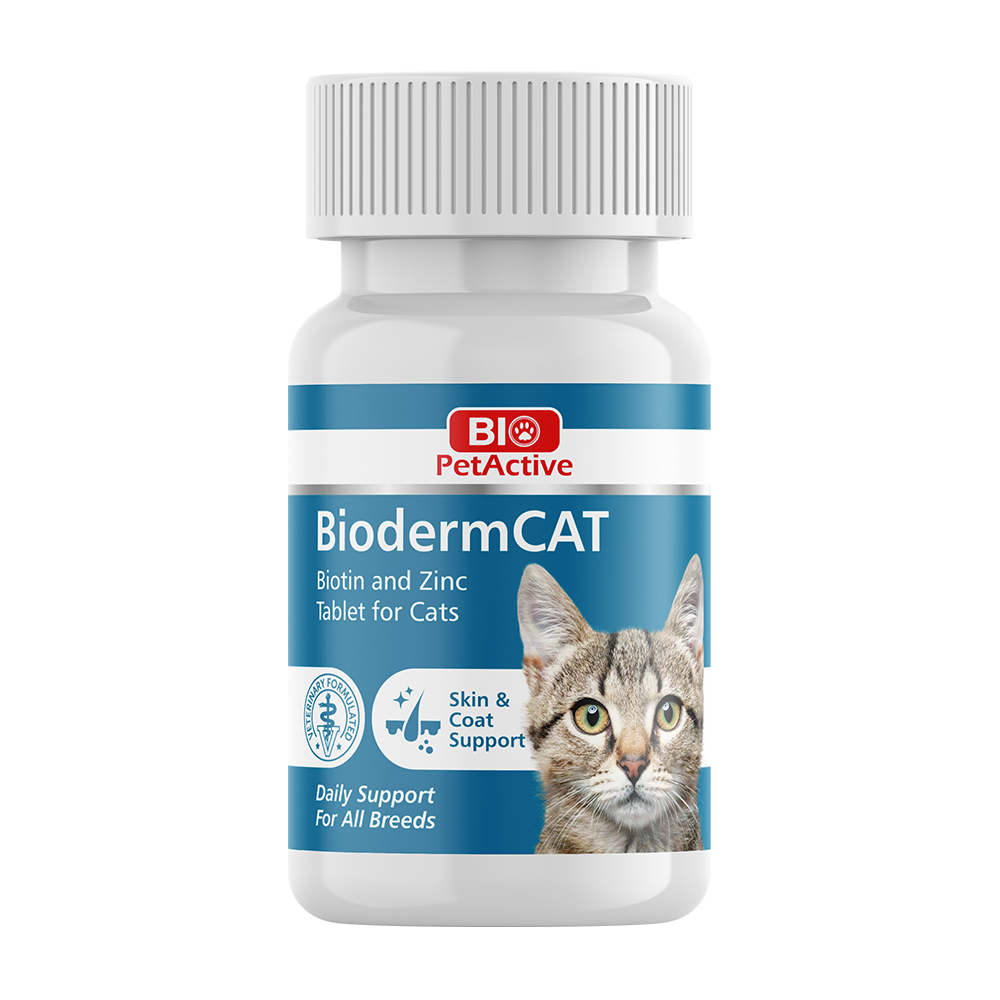 BIODERM CAT cats, enriched with Zinc